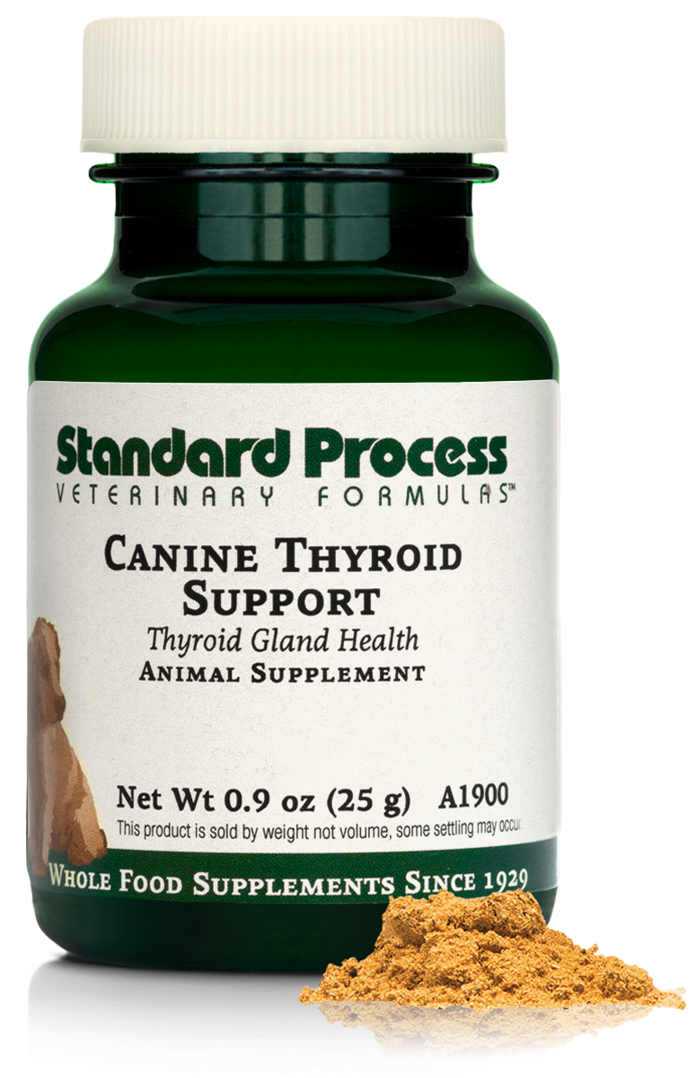 Canine Thyroid Support, 0.9 oz (25 g) – Invision Functional Medicine